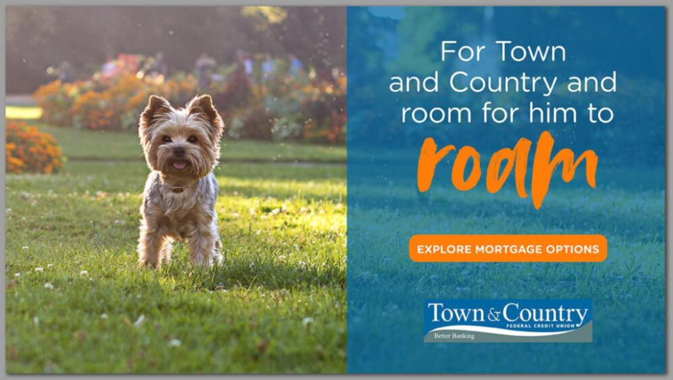 Creating Award-Winning Credit Union Marketing Campaigns | Adrenaline